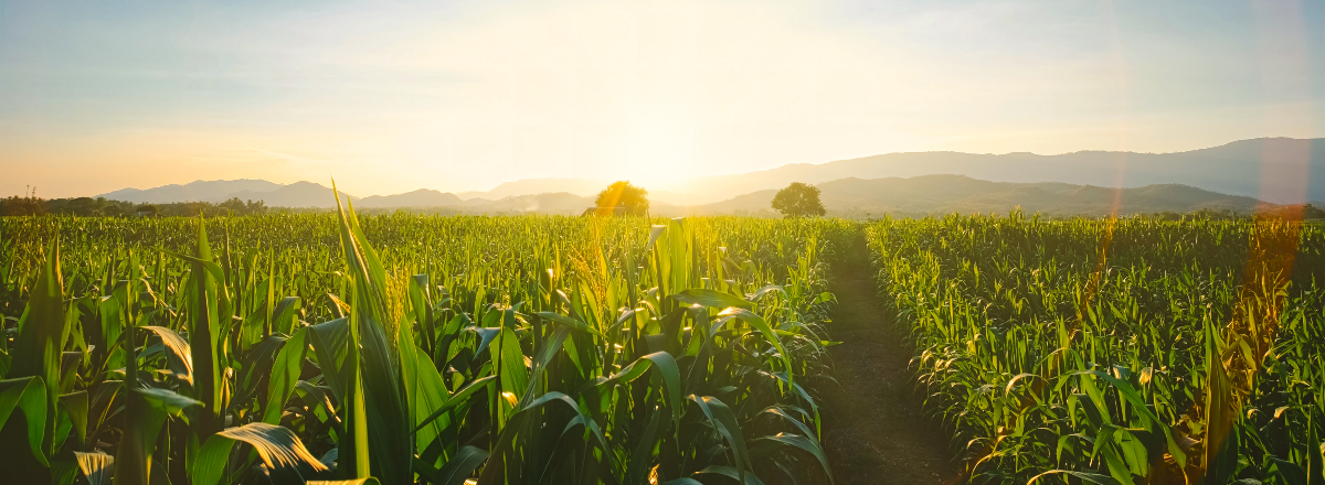 Planet | Compass Group